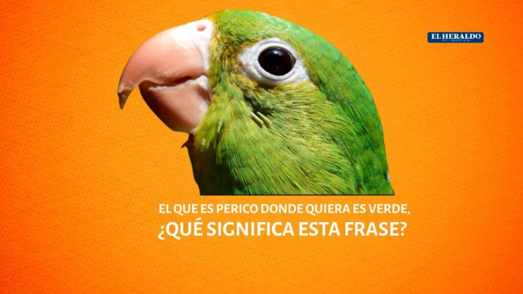 Aprende el significado de 'que es perico donde quiera es verde' y su ...