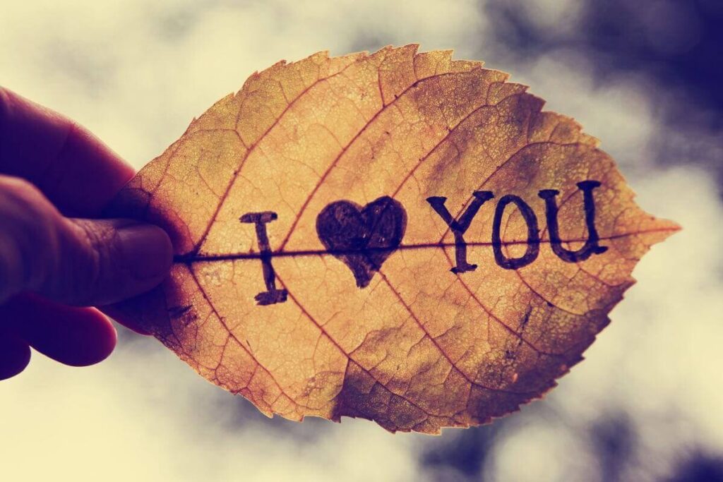Aprende el verdadero significado de 'te amo' y 'te quiero' en el amor ...